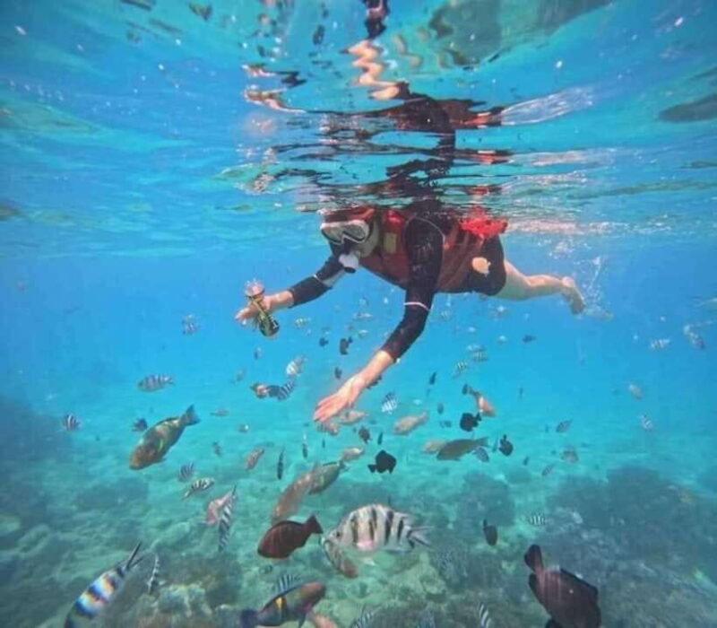 Nha Trang: Snorkeling at Marine Park and Enjoying Lunch - The Itinerary in Detail