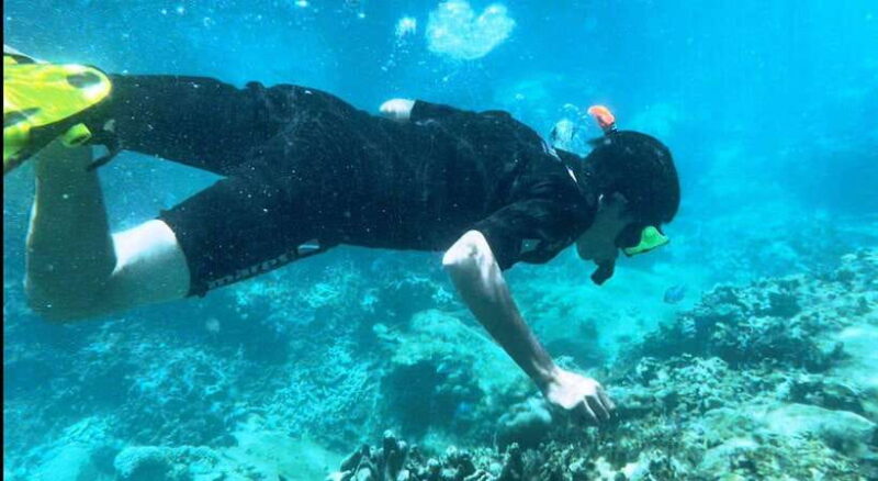 Nha Trang: Snorkeling at Marine Park with Lunch - Key Points