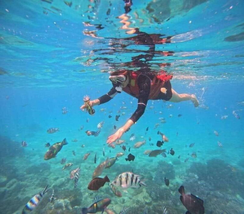 Nha Trang: Snorkeling at Marine Park with Lunch - The Snorkeling Experience: What’s Included and What to Expect