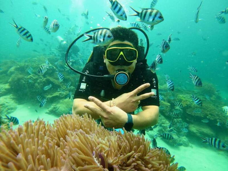 Nha Trang: Snorkeling at Marine Park with Lunch - The Value of the Tour