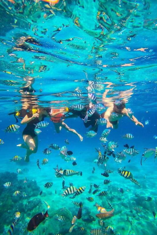 Nha Trang: Snorkeling at Marine Park with Lunch - Practical Tips for Participants