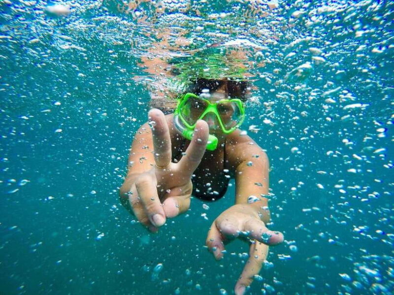 Nha Trang: Snorkeling at Marine Park with Lunch - Who This Tour Is Best For