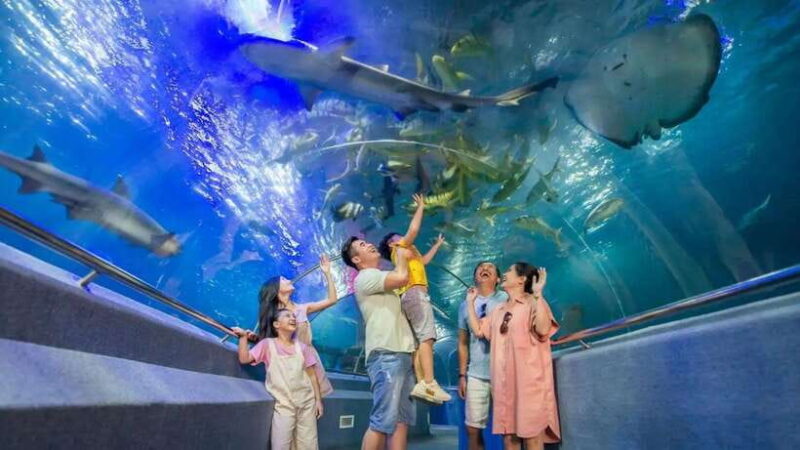 Nha Trang: Snorkeling, Lunch, and Mini Beach - Who Should Consider This Tour?