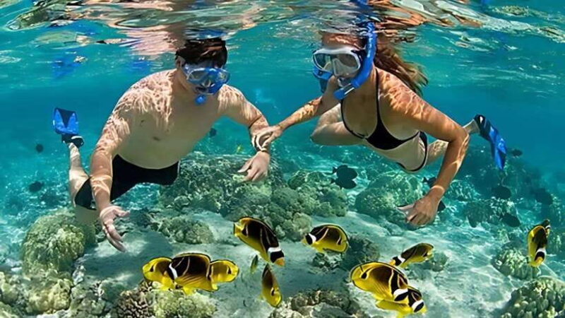 Nha Trang: Snorkeling, Lunch, and Mini Beach - Final Thoughts