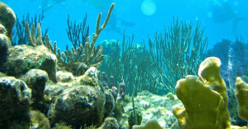 Nha Trang: Snorkeling - Sunbathing - Explore Fishing Village - Break and Relaxation: Sunbathing and Photos