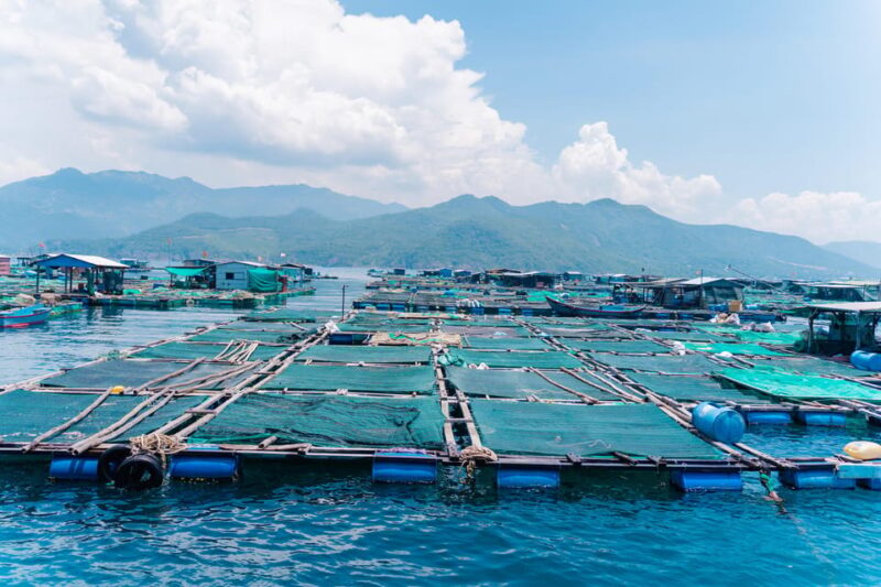 Nha Trang: Snorkeling - Sunbathing - Explore Fishing Village - Visiting Mieu Island: Floating Fishing Farms and Local Life