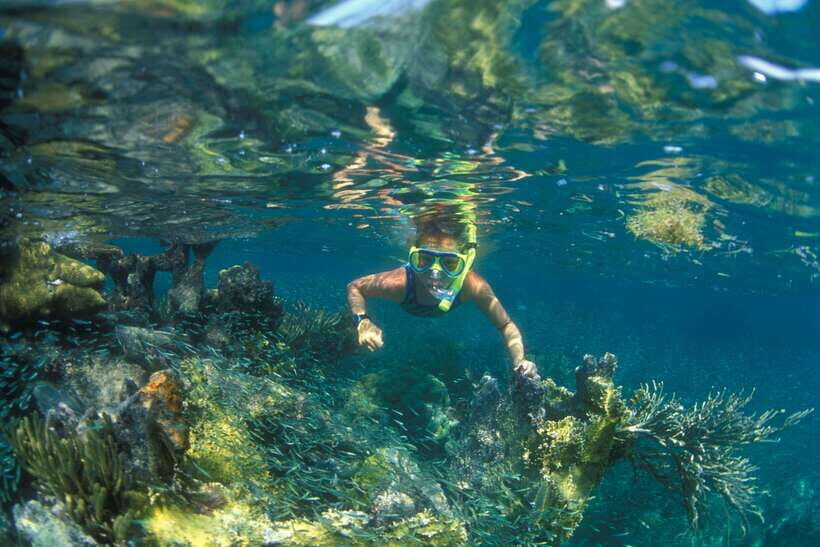 Nha Trang: Snorkeling Tour with BBQ Lunch at Coral Reef - Key Points