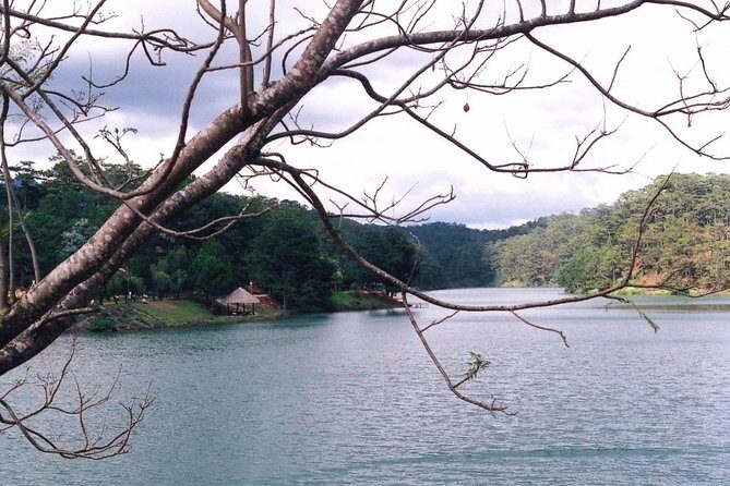 Nha Trang to Da Lat - Private Transfer - An In-Depth Look at the Experience