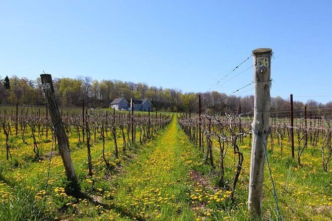 Niagara County Wine Tour and Tasting - The Value of the Experience