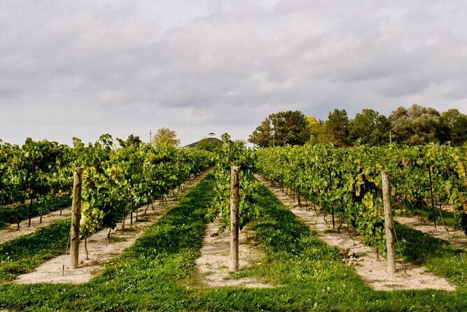 Niagara County Wine Tour and Tasting - Final Thoughts: Is It Worth It?