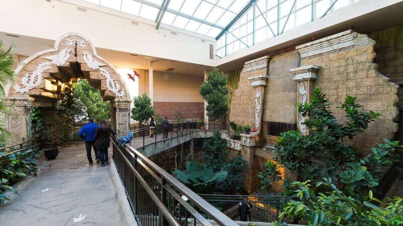 Niagara Falls, Canada: Bird Kingdom Entry Ticket - Who Should Visit?