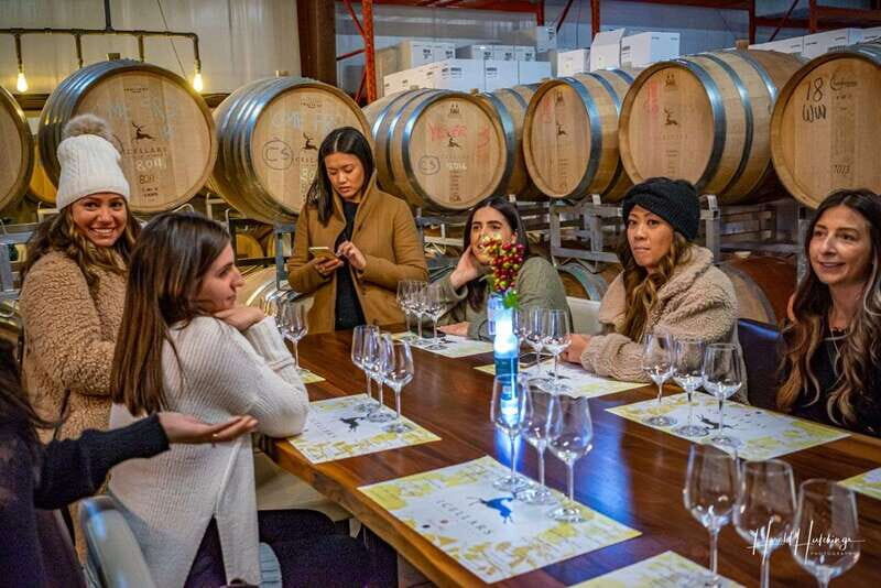 Niagara Falls, Canada: Escarpment Boutique Wine Tour - Key Points