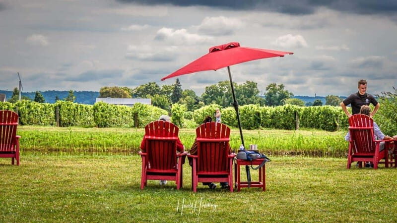 Niagara Falls, Canada: Escarpment Boutique Wine Tour - Cost & Value