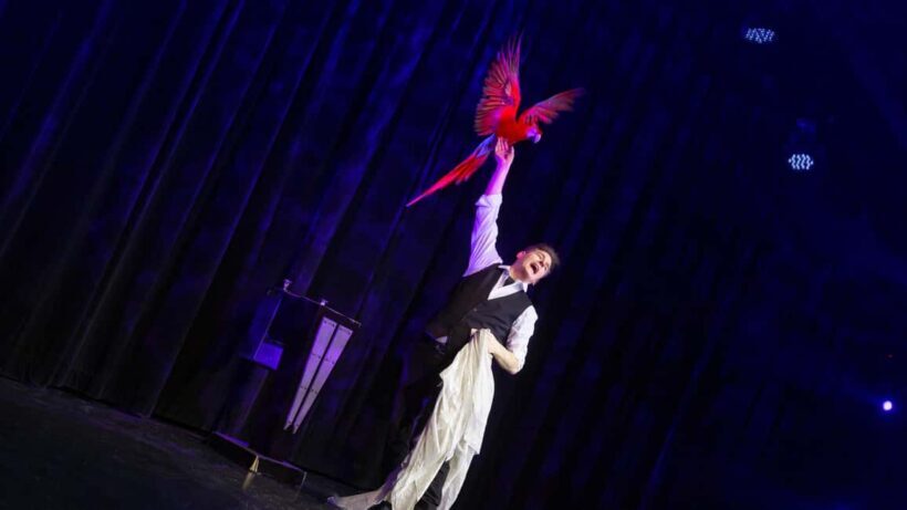Niagara Falls, Canada: Wild Magic Show Ticket - Who Should Consider This Tour?