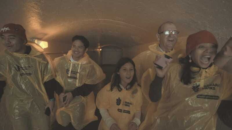 Niagara Falls: Day & Night Tour with Boat Ride and Dinner - Who Is This Tour Best For?