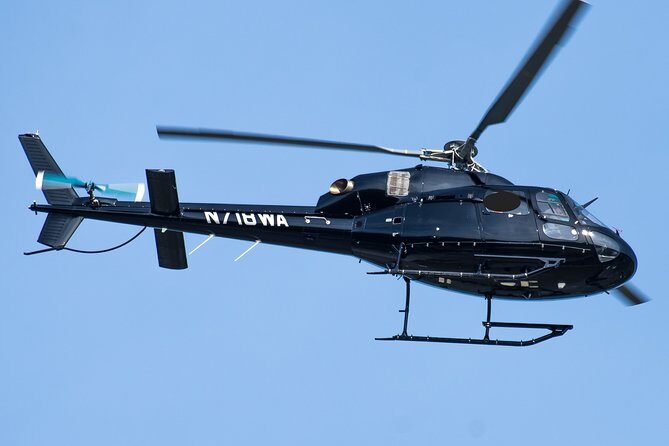 Niagara Falls Day Trip from Manhattan by Helicopter - Who Is This Tour Best For?
