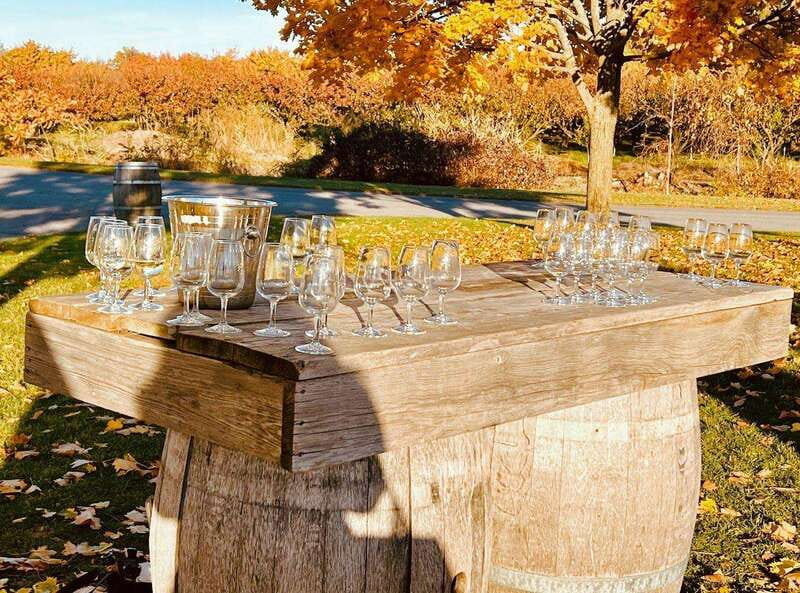 Niagara Falls: Luxury Private Tour with Winery stop - Final Thoughts