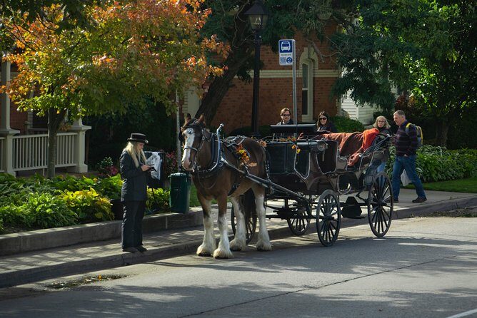 Niagara Falls One Day Sightseeing Tour from Toronto - Who Should Consider This Tour?
