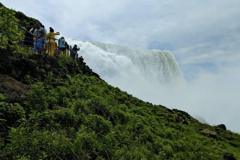 Niagara Falls: Private Tour with Maid of the Mist - Who Should Consider This Tour?