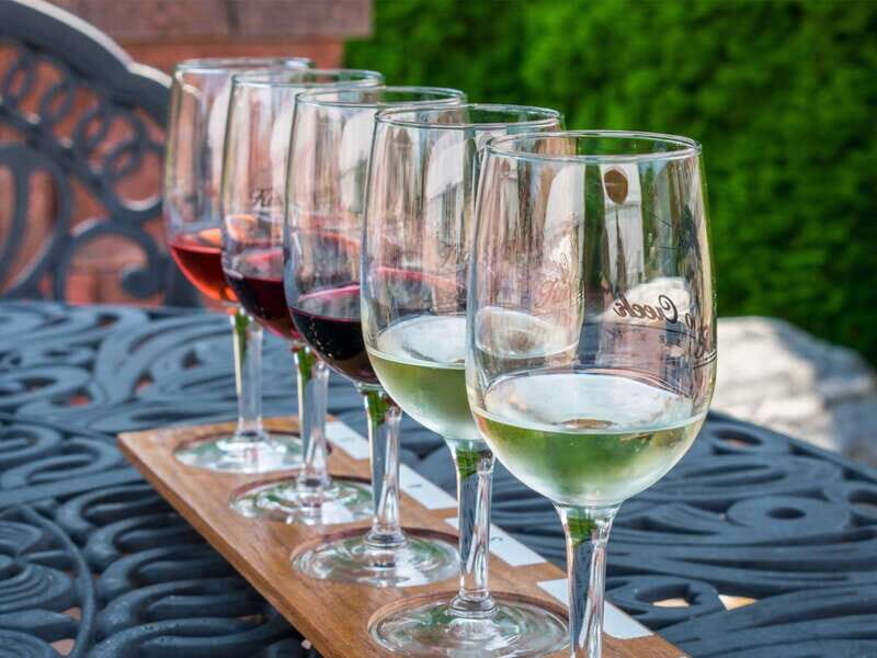 Niagara Falls: Public Niagara Wine Tour with Transportation - A Detailed Look at the Tour Experience