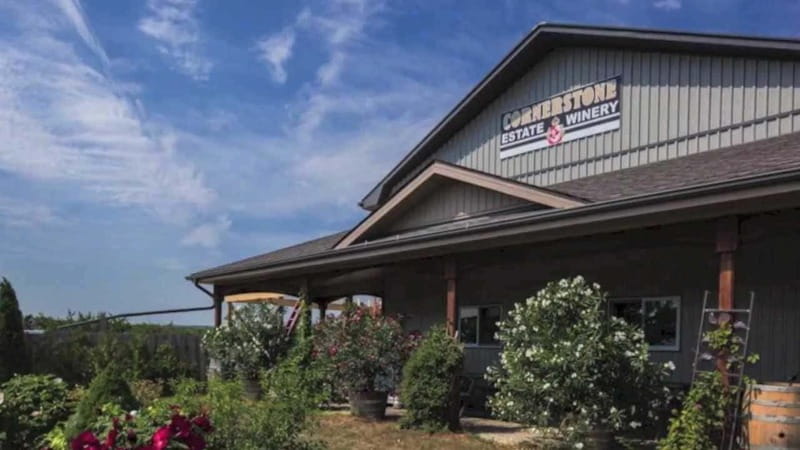 Niagara Falls: Public Niagara Wine Tour with Transportation - Who Will Love This Tour?