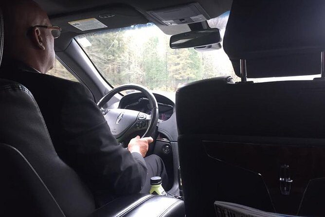 Niagara Falls to Pearson Toronto Airport Private Transfer - Who Is This Transfer Best For?