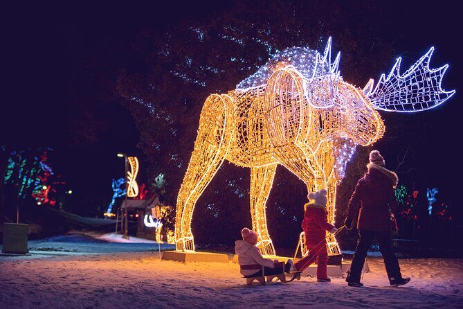 Niagara Falls USA/Canada Winter Wonderland Adventure tour - Why This Tour Stands Out