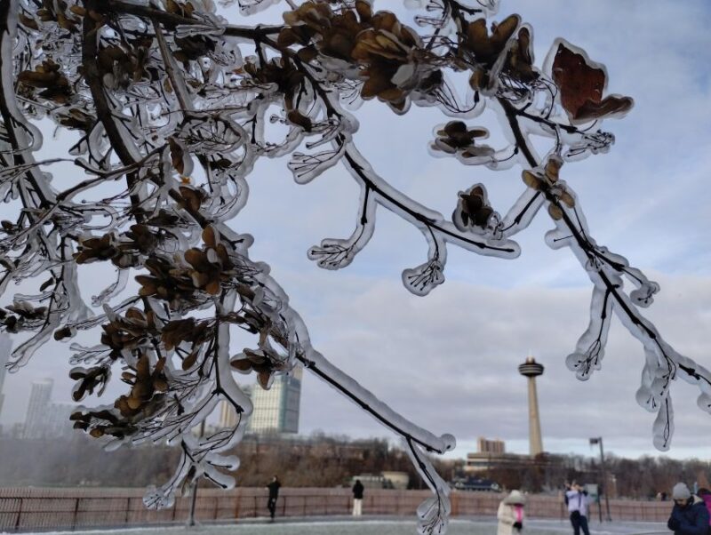 Niagara Falls: USA Side Guided Tour - Pricing and Value