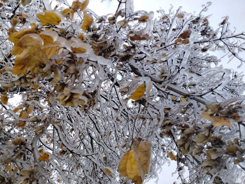 Niagara Falls: USA Side Guided Tour - FAQ