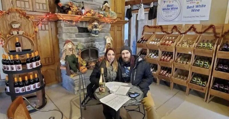 Niagara Falls: USA Small-Group Boutique Wine Tour - The Experience of a Guide