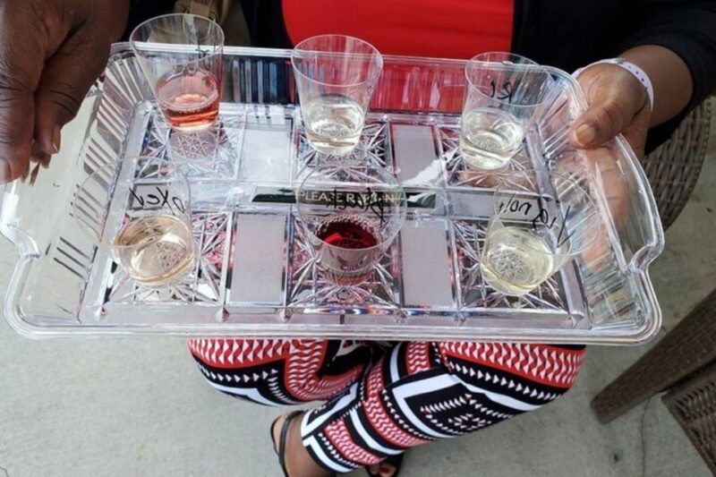 Niagara Falls: USA Small-Group Boutique Wine Tour - Authentic Insights from Guest Reviews