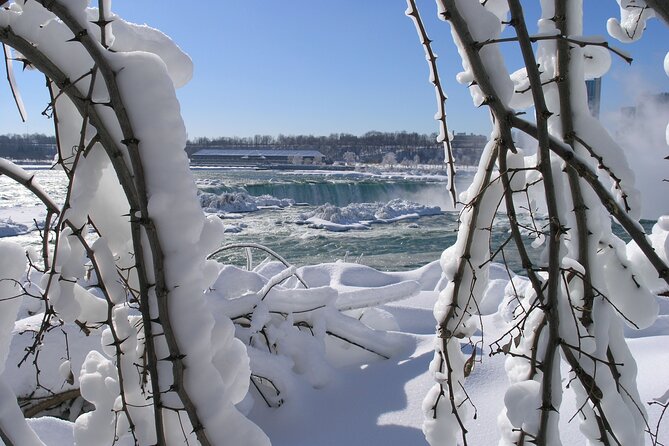 Niagara Falls Winter Wonderland USA Tour (small groups) - Value and Practical Tips