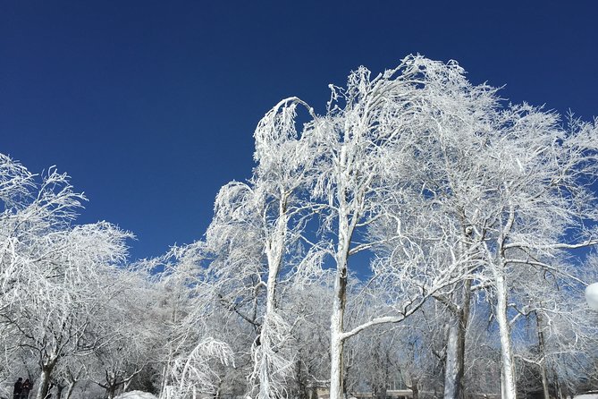 Niagara Falls Winter Wonderland USA Tour (small groups) - The Sum Up