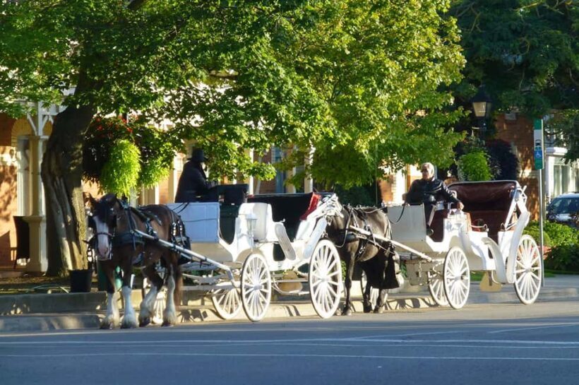 Niagara-on-the-Lake: Guided Vehicle Tour(The Prettiest Town) - Key Points
