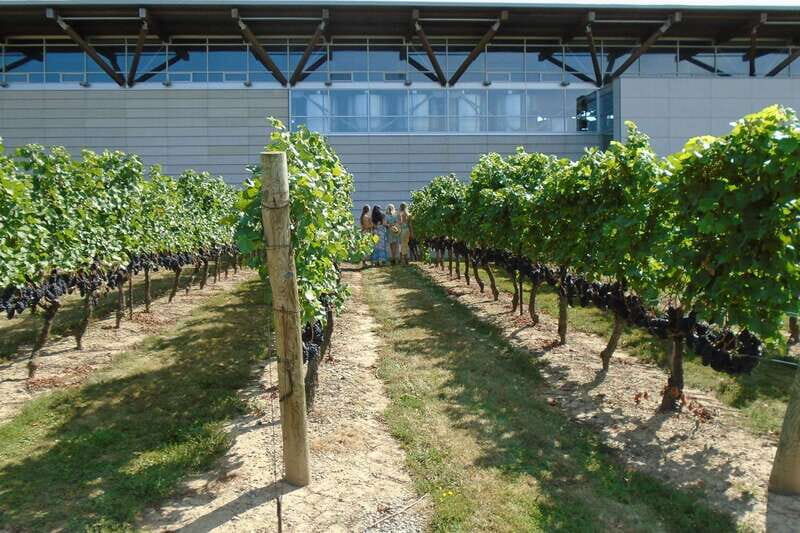 Niagara-on-the-Lake/Niagara Falls: Private Custom Day Trip - Practical Tips for Your Niagara Day Trip