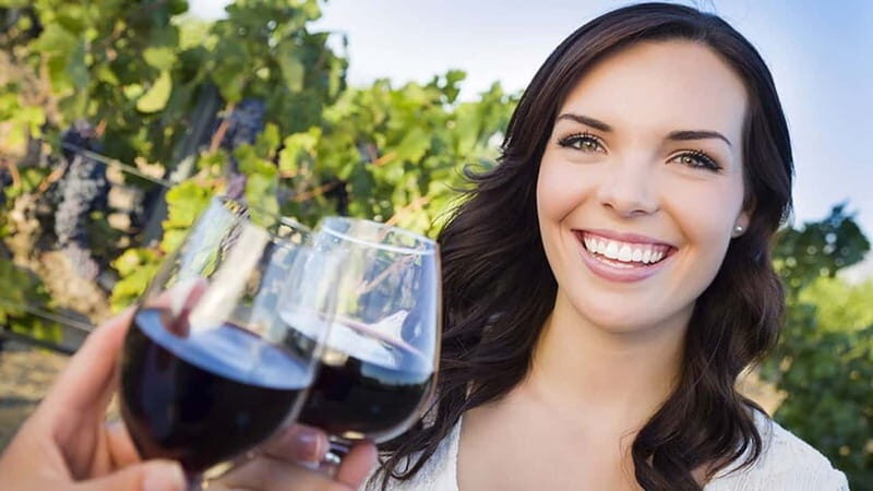 Niagara-on-the-Lake: Sunset Wine Tour with Dinner - Key Points