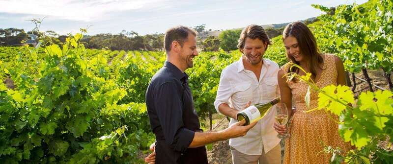 Niagara-on-the-Lake: Sunset Wine Tour with Dinner - Who Would Love This Tour?