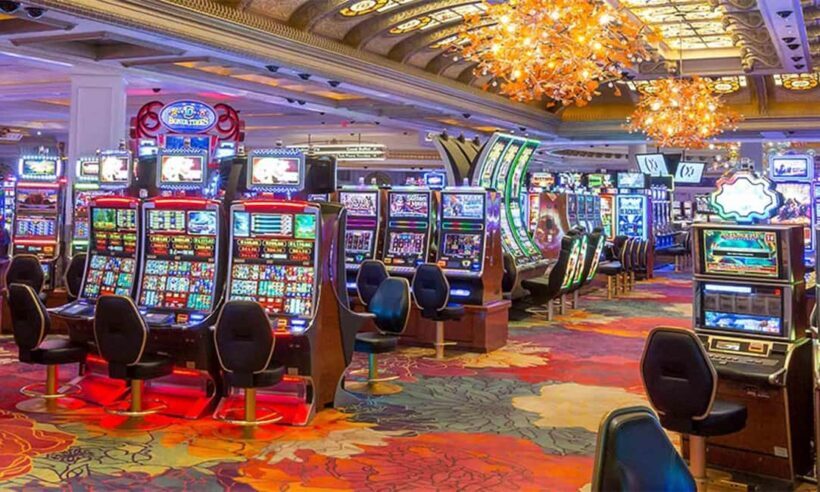 Niagara: VIP Casino Tour with Private Driver From Toronto - Key Points