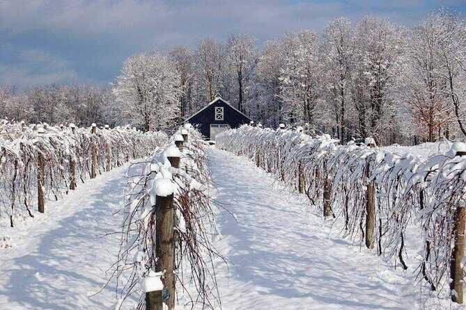 Niagara Wine Tour and Tastings with Included Transportation - Final Thoughts