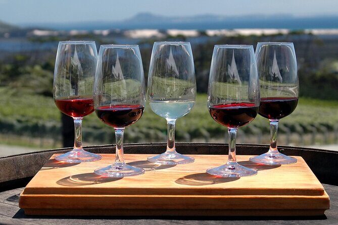 Niagara Wine Trail Tour - Niagara Wine Trail Tour Review: A Satisfying Sip of New York’s Best