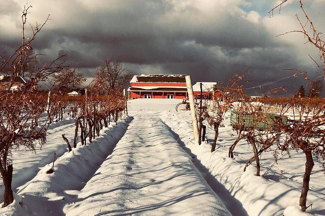 Niagara's Decadent Sparkling and Icewine Tasting - Practical Details: What to Know Before You Go