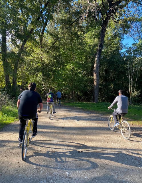 Nice: Adventure park in an exceptional natural setting - The Sum Up