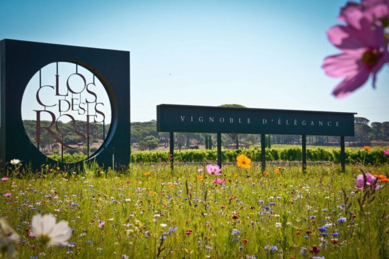 Nice: Clos des Roses wine tasting and lunch - Introduction