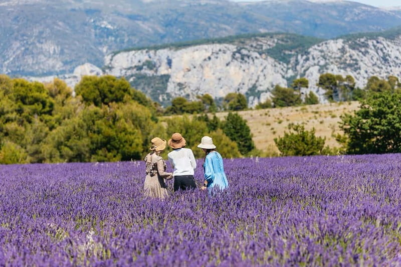 Nice: Gorges of Verdon and Fields of Lavender Tour - Analyzing the Value