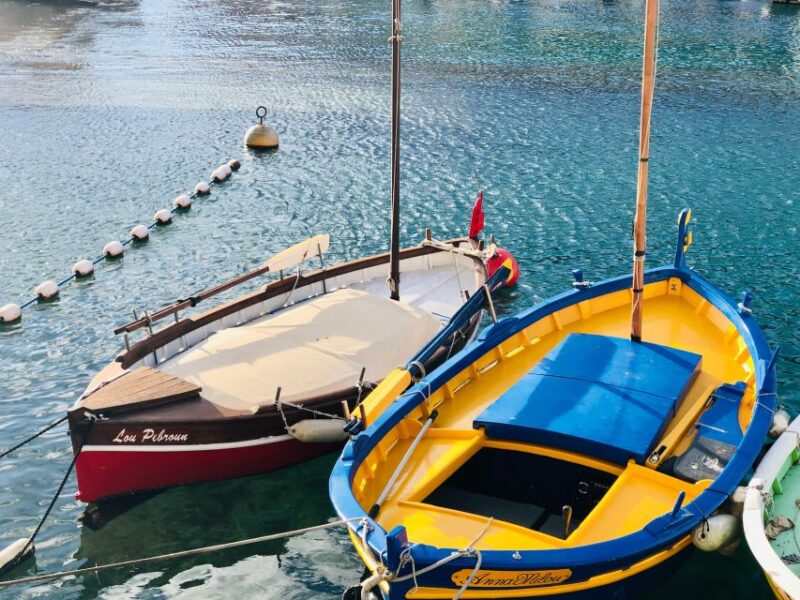 Nice: Guided Walking Tour in English - Who Will Love This Tour?