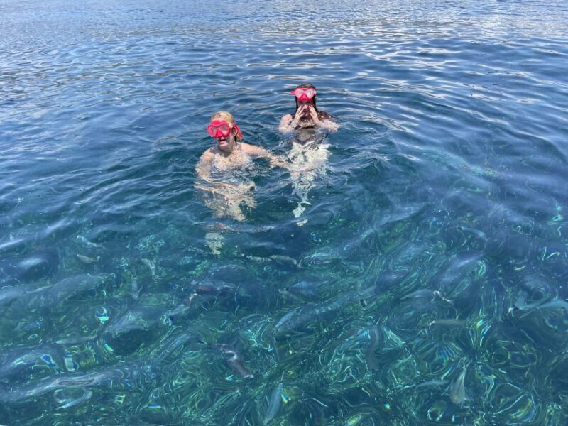 Nice: Monaco & Mala Caves Boat Trip with Snorkeling - Authentic Experiences and Guest Feedback