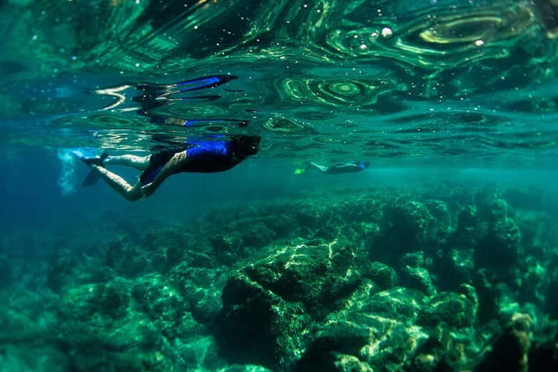 Nice: Snorkeling Speedboat Tour in Villefranche Bay - What Makes This Tour Stand Out