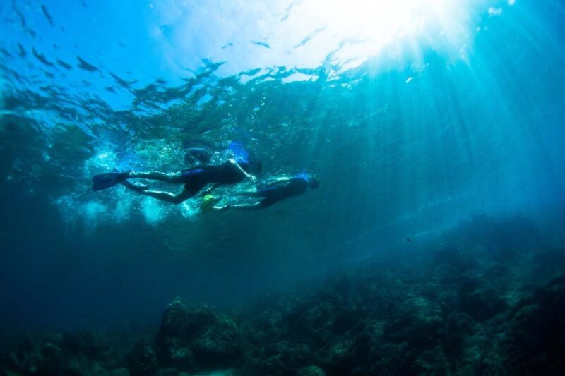 Nice: Snorkeling Speedboat Tour in Villefranche Bay - Authentic Traveler Feedback