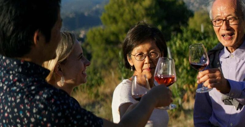 Nice: Vineyard Tour with Wine Tasting - Discovering the Nice Vineyard Tour with Wine Tasting