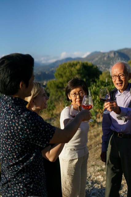 Nice: Vineyard Tour with Wine Tasting - The Experience: A Closer Look